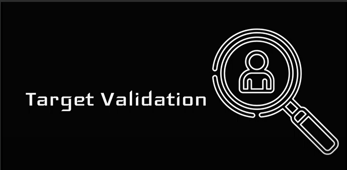 Target Validation in Cybersecurity with Kali Linux | Medium
