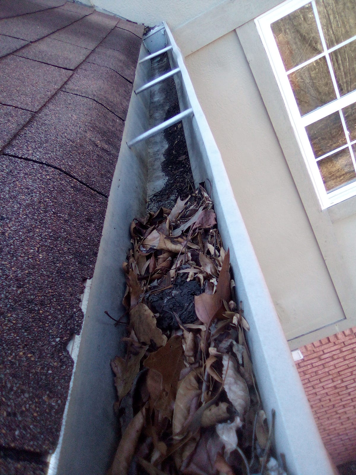 Gutter Cleaning — How to Eliminate Gutter Gunk | by Jo Gutierrez | Medium