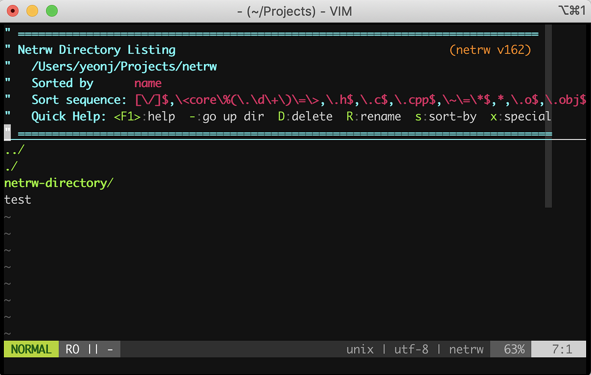 Netrw — Vim 파일 탐색기. 처음 Vim을 사용하기 시작했을때, 실수로 디렉터리를 파일 열듯이… | by Kim Yeonjun | Medium