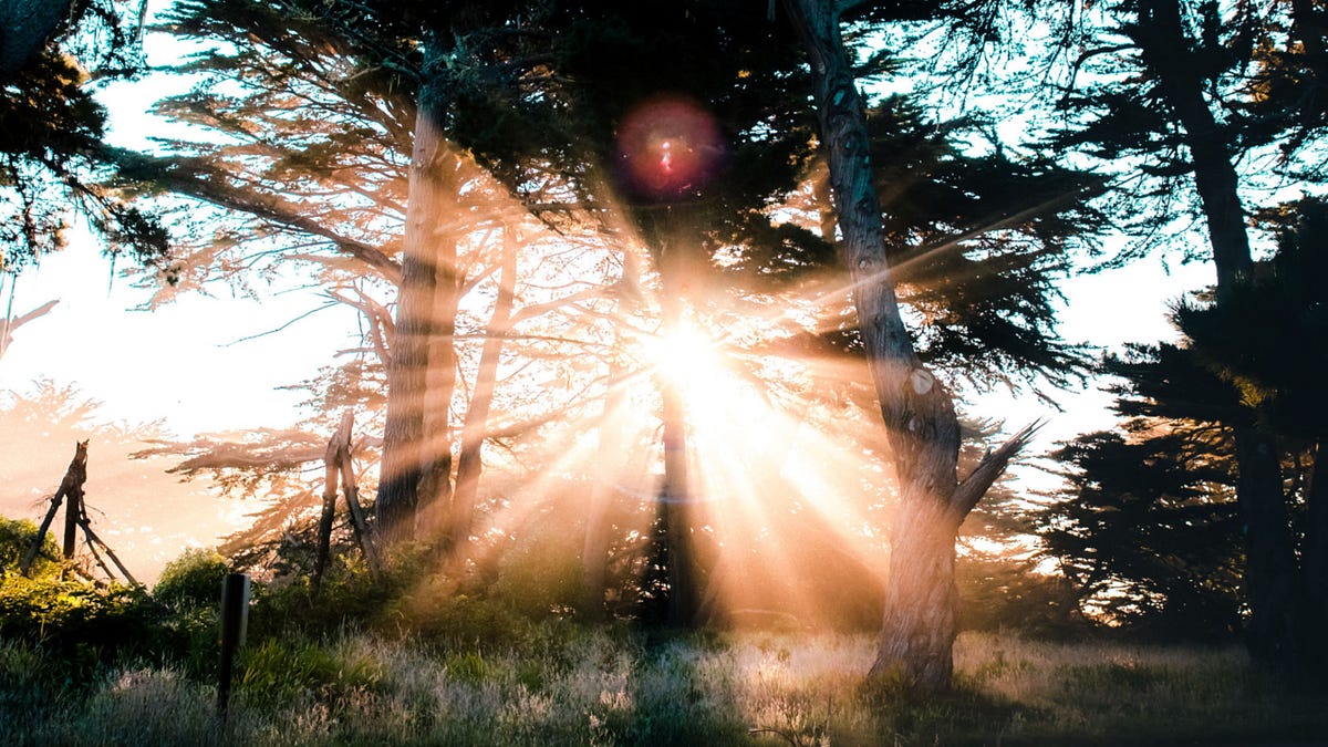 Sound and Sight Become One. Every time I worship in song with the… | by ...