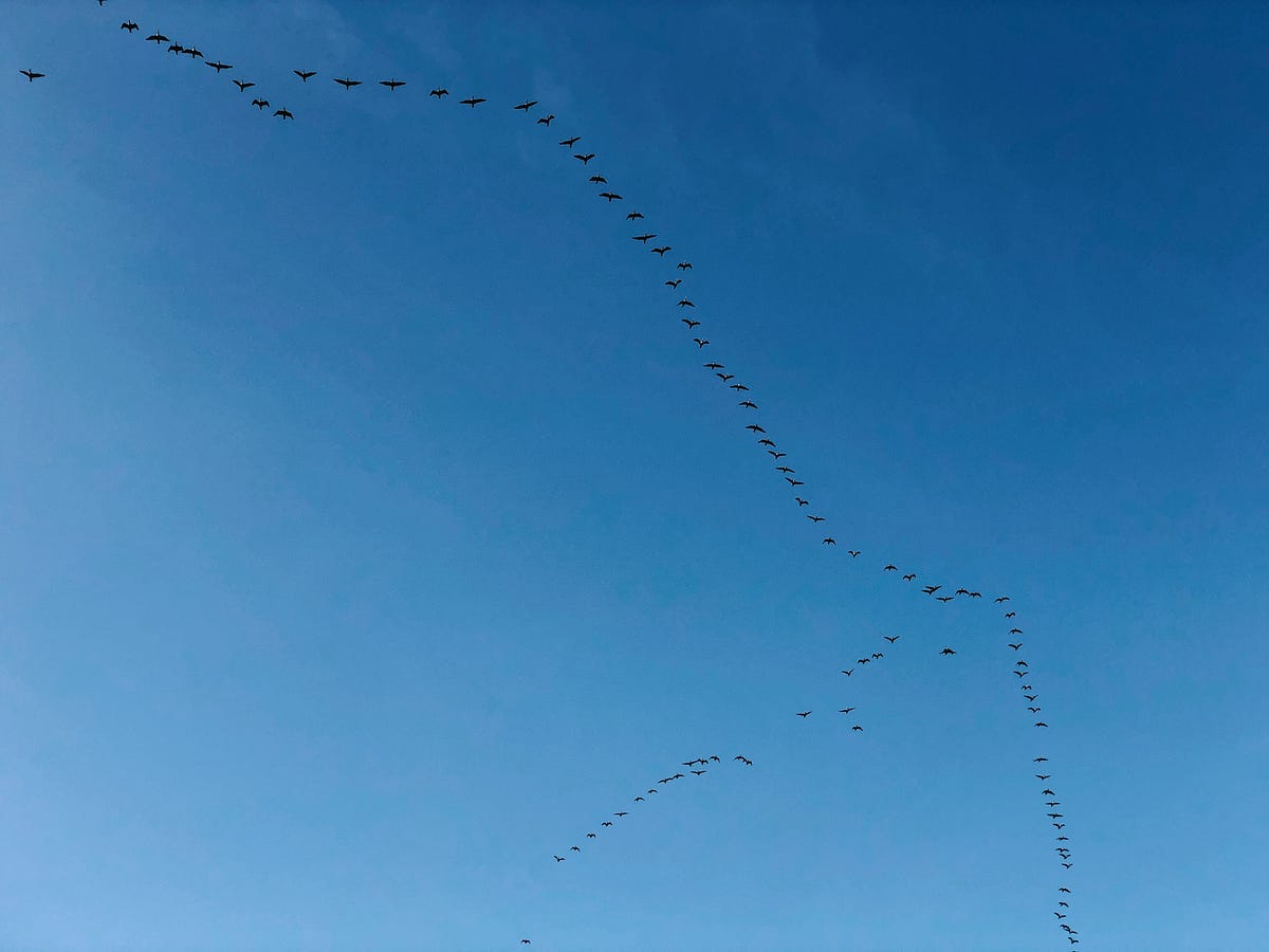 Build Simple Linear Regression Model With Deployment Using Flask By Handhika Yanuar Pratama