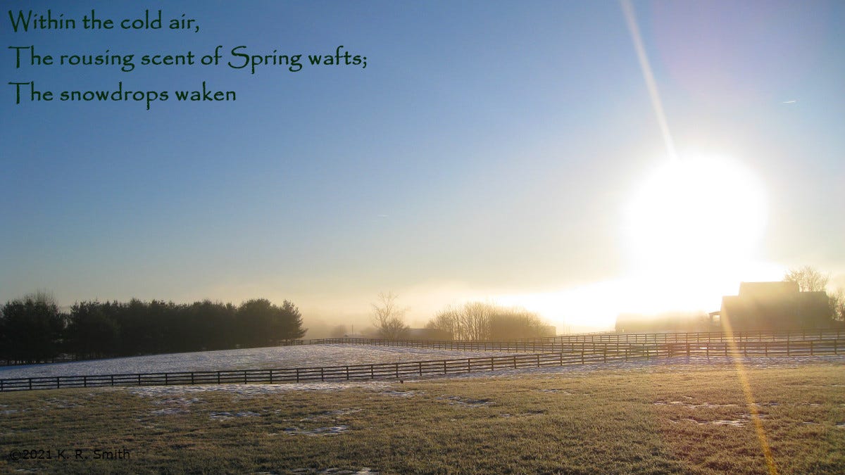 Haiku for March 2021 - K R Smith - Medium