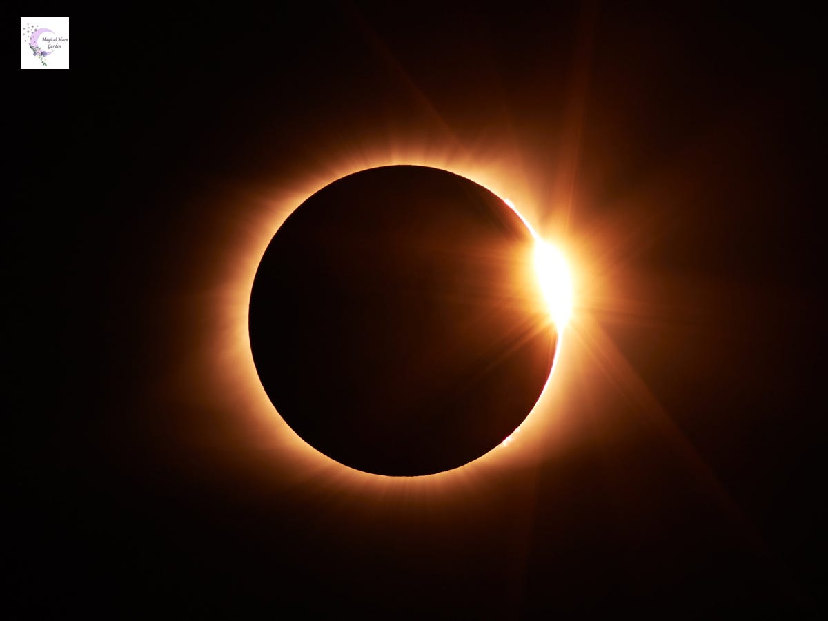 Unveiling the Mysteries of Lunar and Solar Eclipse Phoenix | by Pat G ...