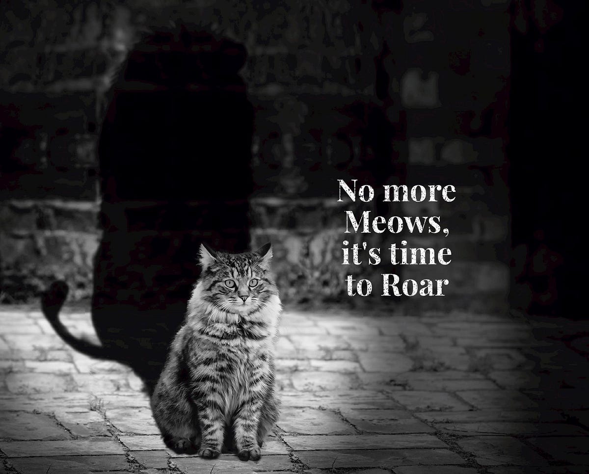 No more Meows, it’s time to Roar. Are you a copy cat or an original ...