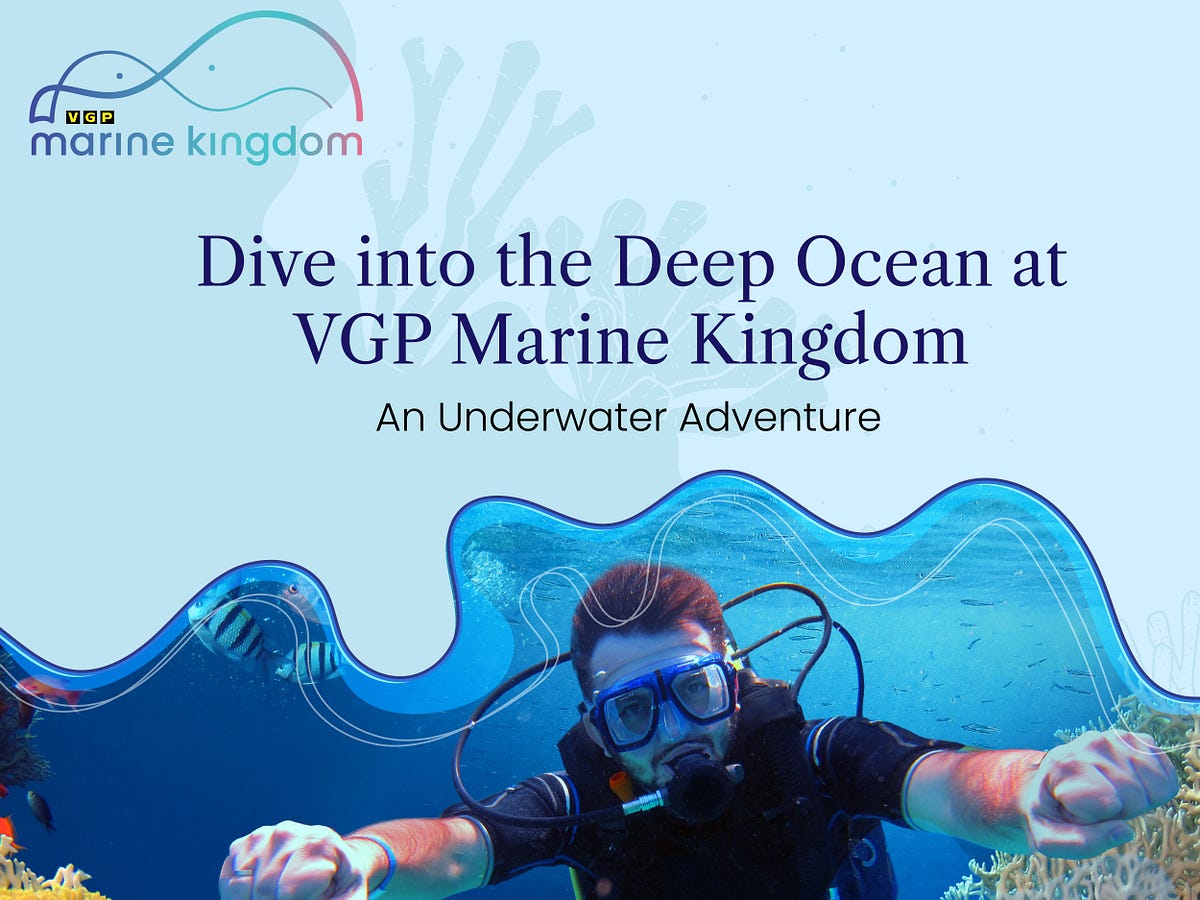 VGP Marine Kingdom presents World’s First Underwater Magic show | by ...