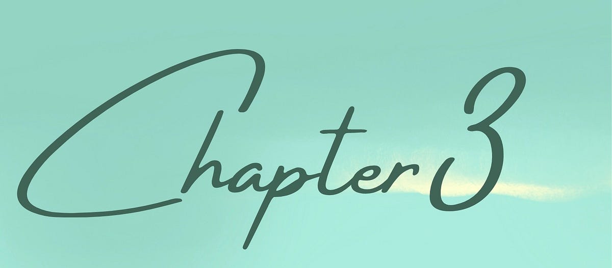 Chapter 3. Chapter 3 | by Koo Chika | Aug, 2023 | Medium