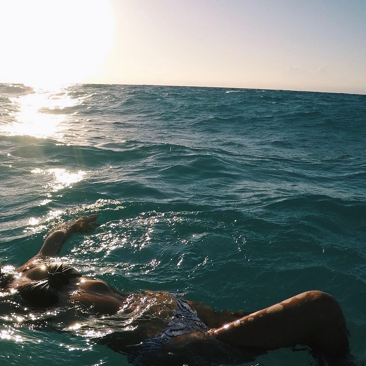 She swam here. She swam through oceans and lakes and… | by AM | Medium
