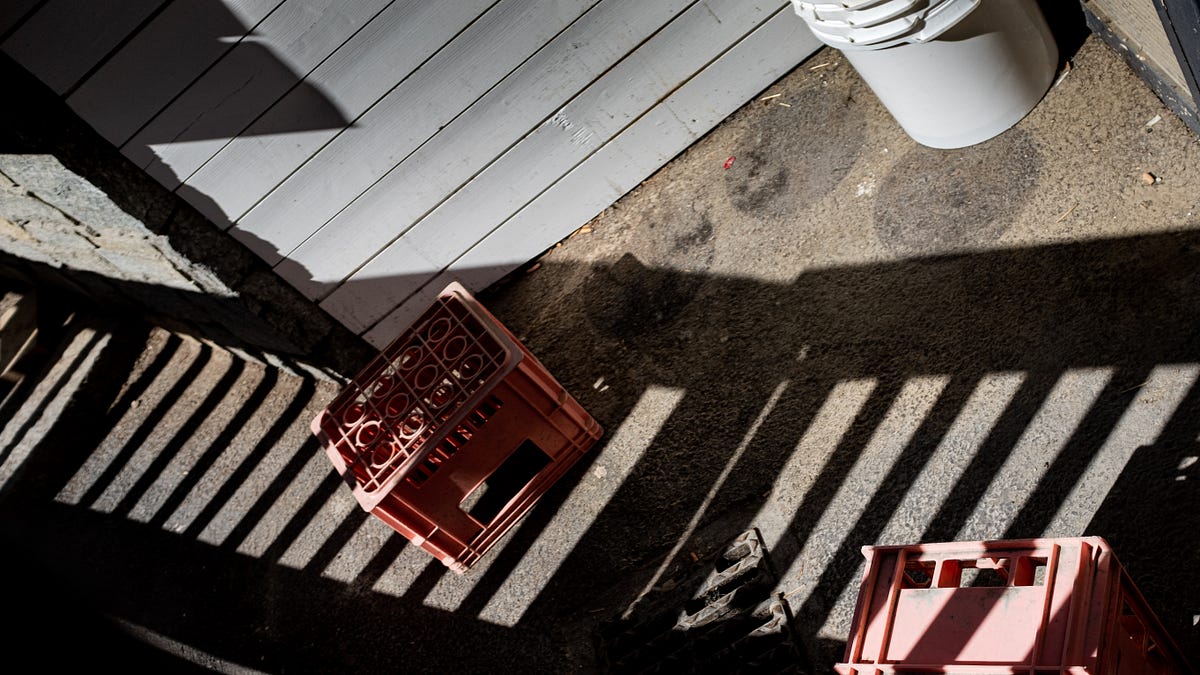 Cigarette Butts and Freedom.. Who are you perched on the upturned… | by ...