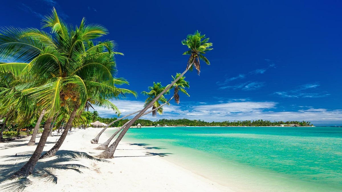 Fiji Package: Dive into Your Perfect South Pacific Adventure | by ...