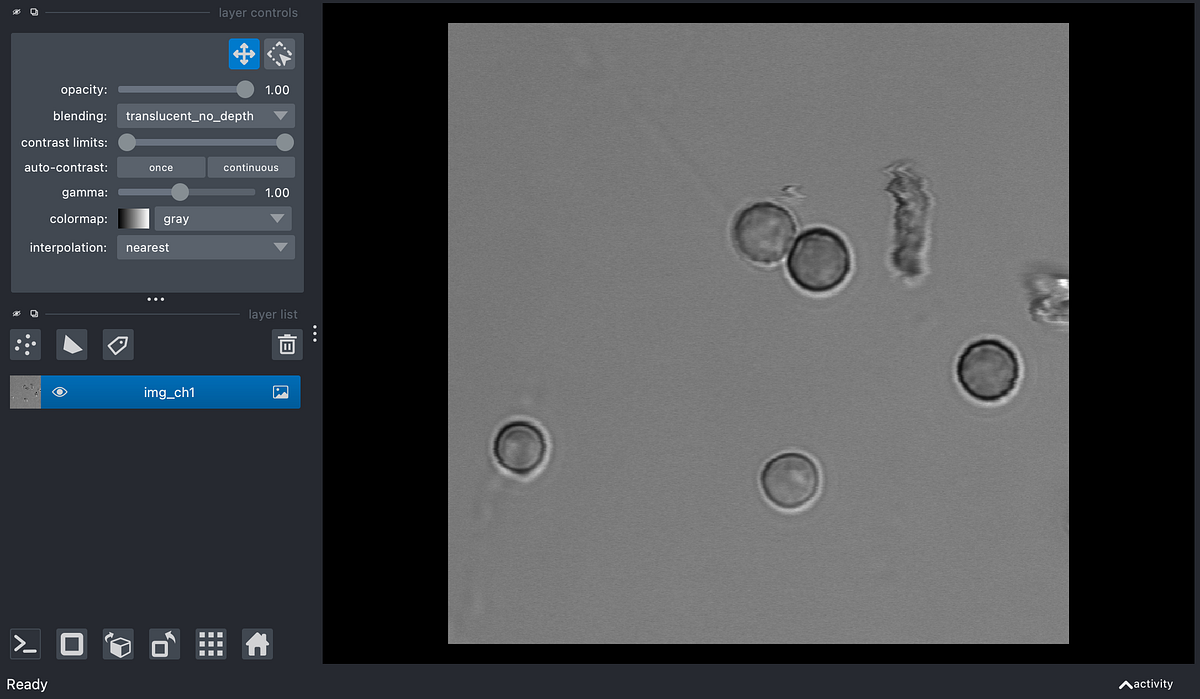 Labeling Cells with napari and Python: A Step-by-Step Guide for BioImage Analysis | by ...