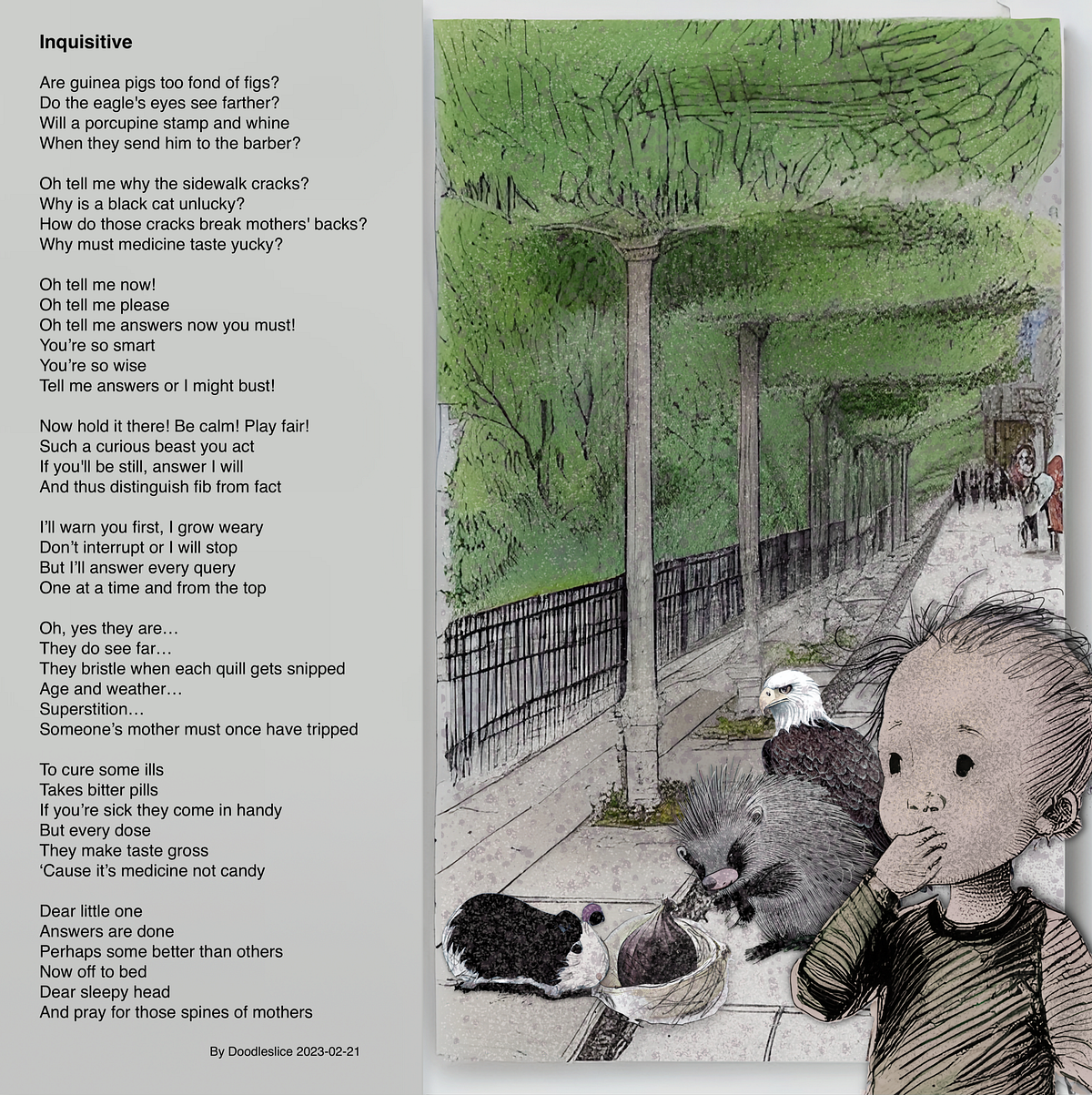 Inquisitive. A curious poem to ponder before tucking… | by Doodleslice ...