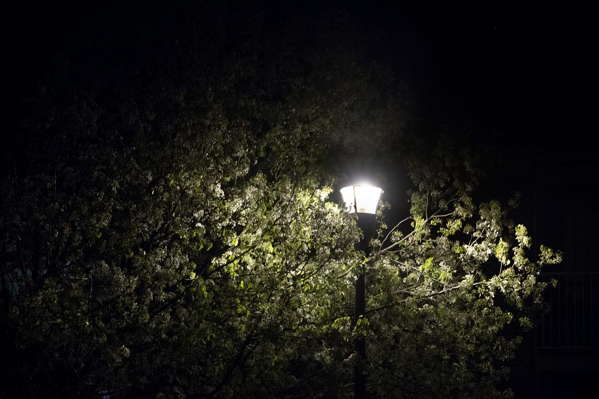 Week 14: Landscape Zoomed In. 52 Week Photography Challenge. Week 14 ...