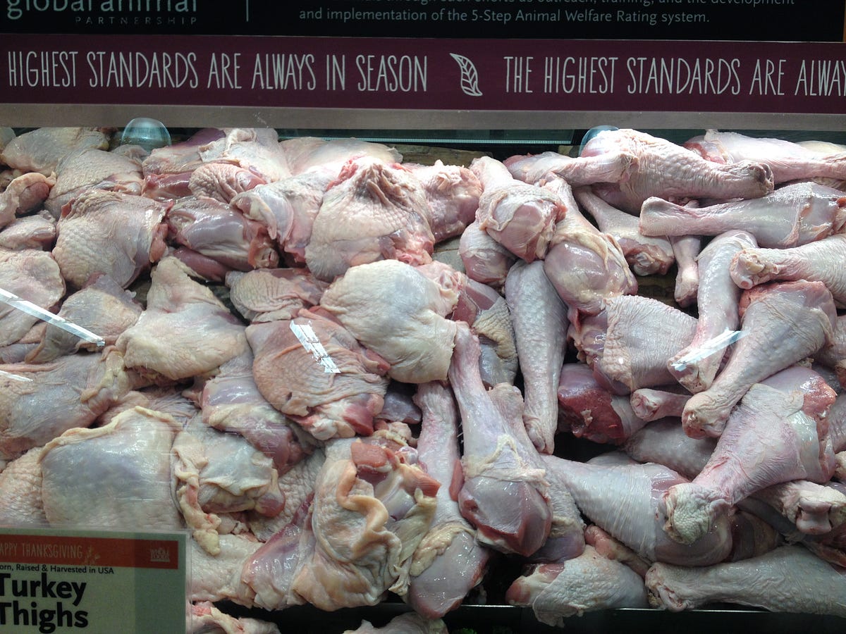 The Turkey That Will Change Your Life | by Julia Napier | Medium