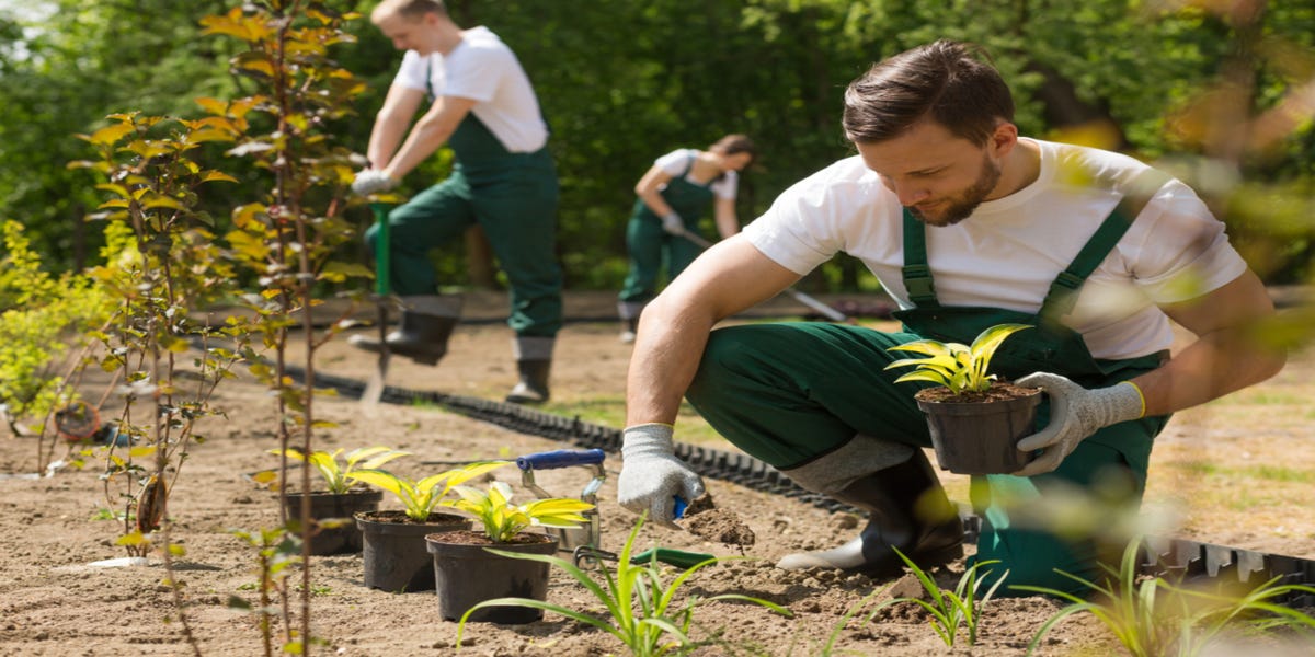 How to Become a Professional Landscape Contractor | by Mac | Medium