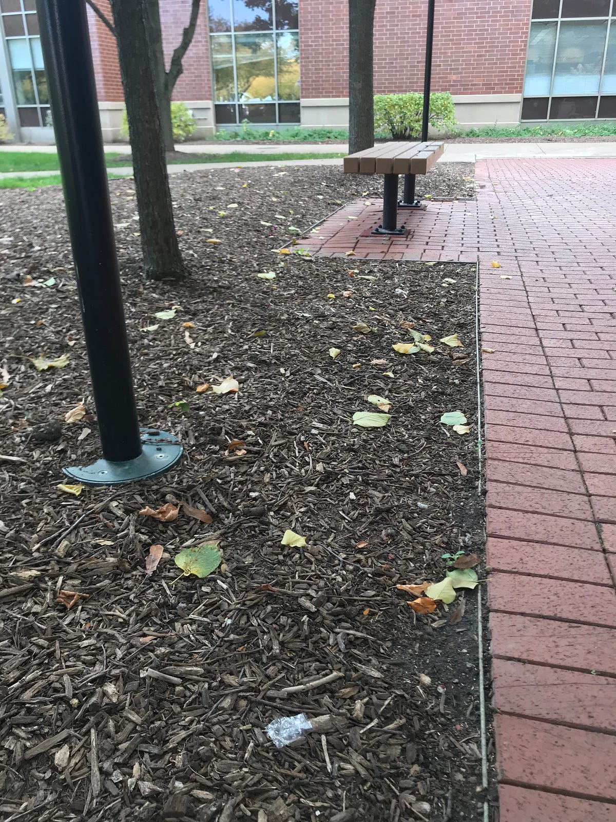 Lincoln Park Litter Land. Chicago, my new home and more… | by Christian ...