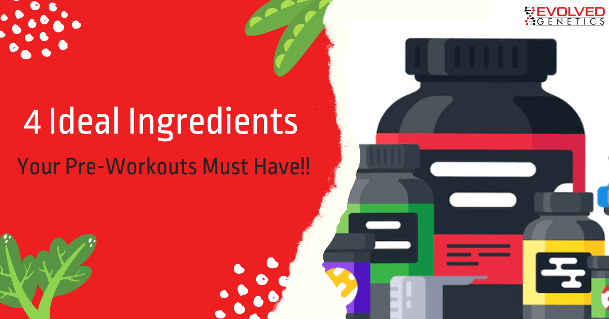 4 Ideal Ingredients Your Pre-Workouts Must Have! | by Evolved Genetics ...