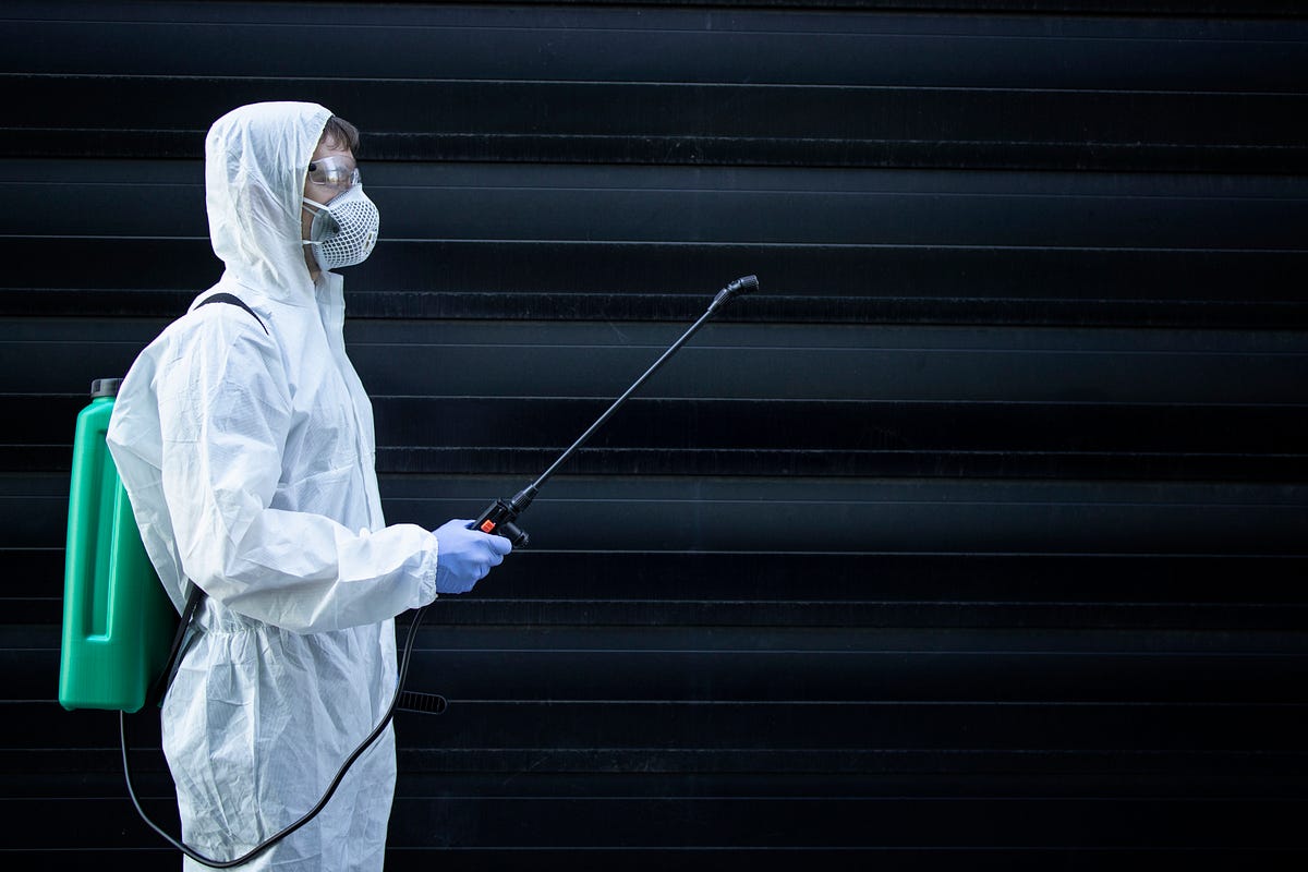 Seven Pest Control Myths We Need To Know | by Pandppest | May, 2024 ...
