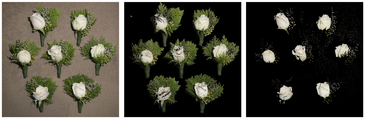 Image Segmentation (Part 1). Thresholding, Otsu’s and HSV… | by Ralph Caubalejo | Towards Data ...