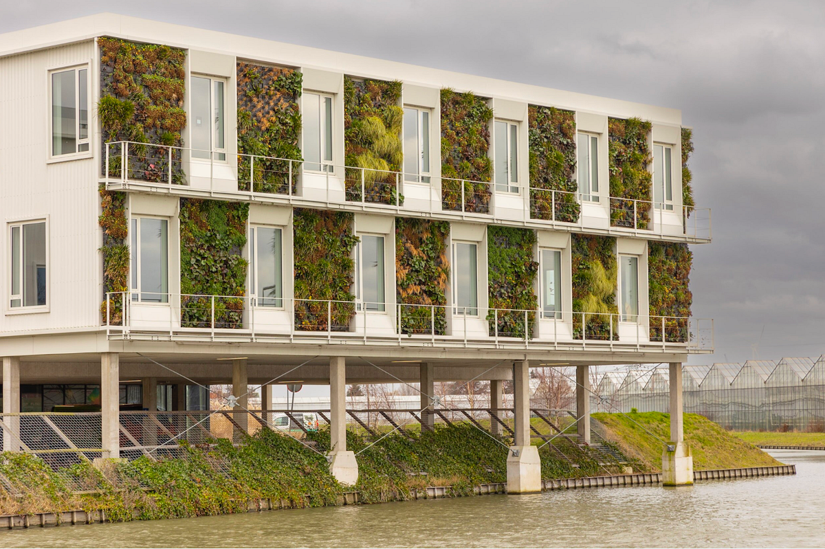 Building a Sustainable Future: Harnessing the Power of Plankton and ...
