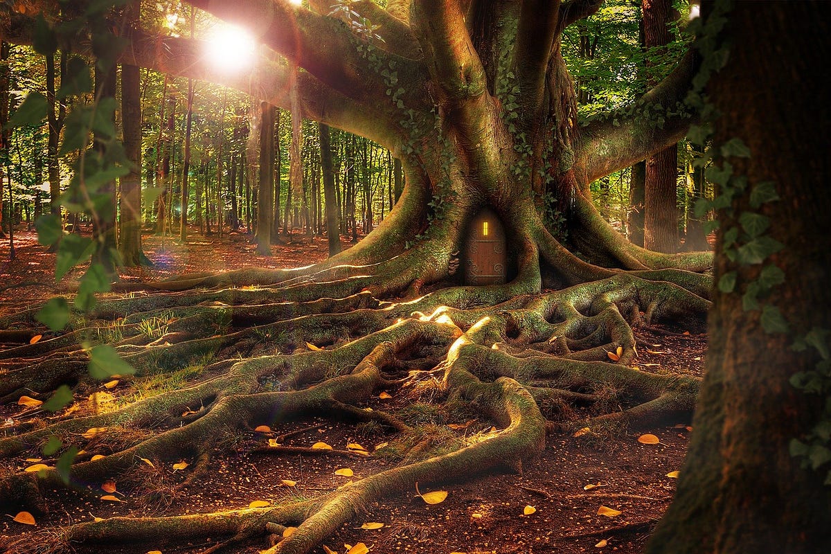 The Magical Place - Write Under the Moon - Medium