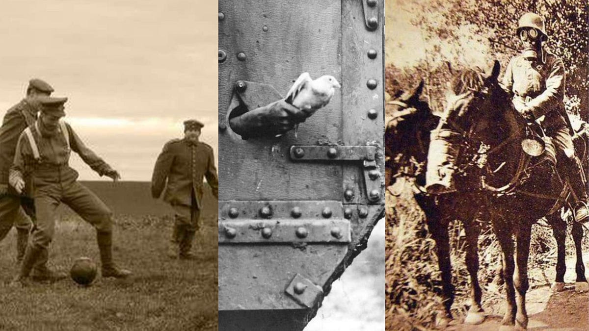 6 Fascinating World War I Photos That Tell a Powerful Story | by Hailey ...