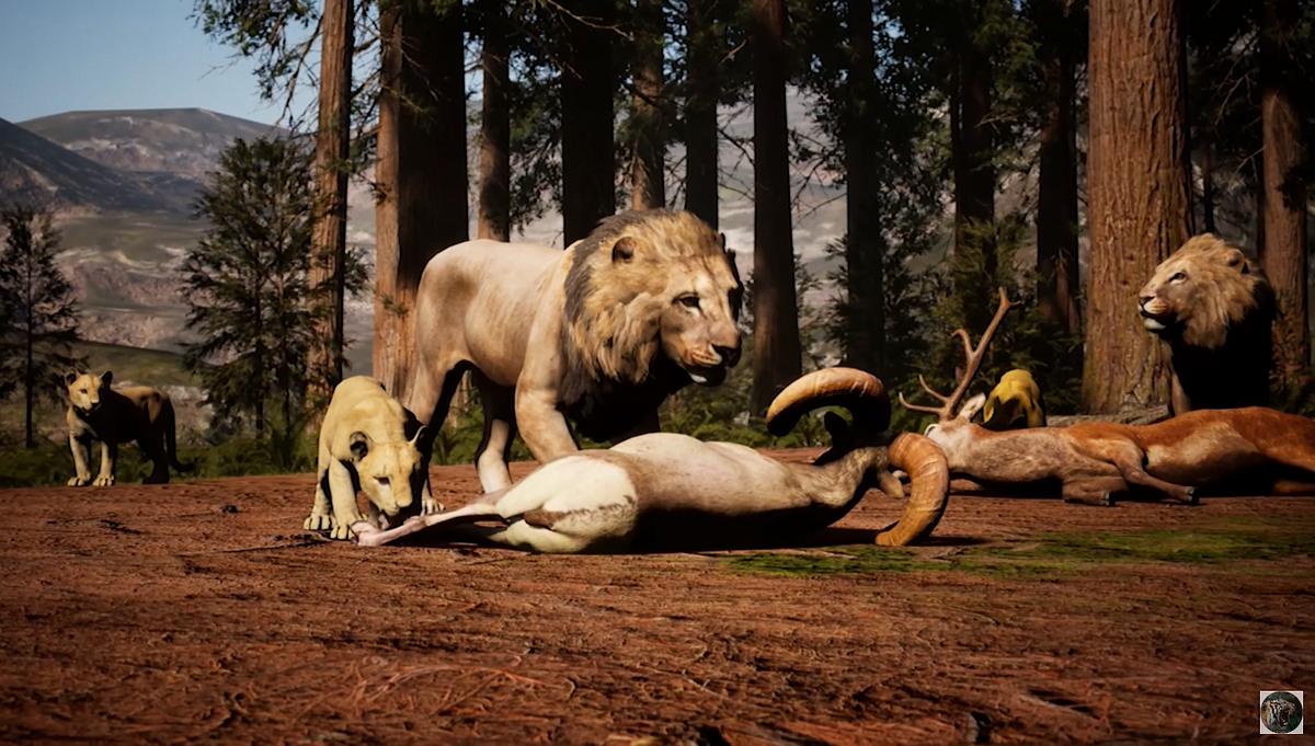 Jungle Bull vs Lion | Lion King Attacks Bull in Forest | Real Animals ...