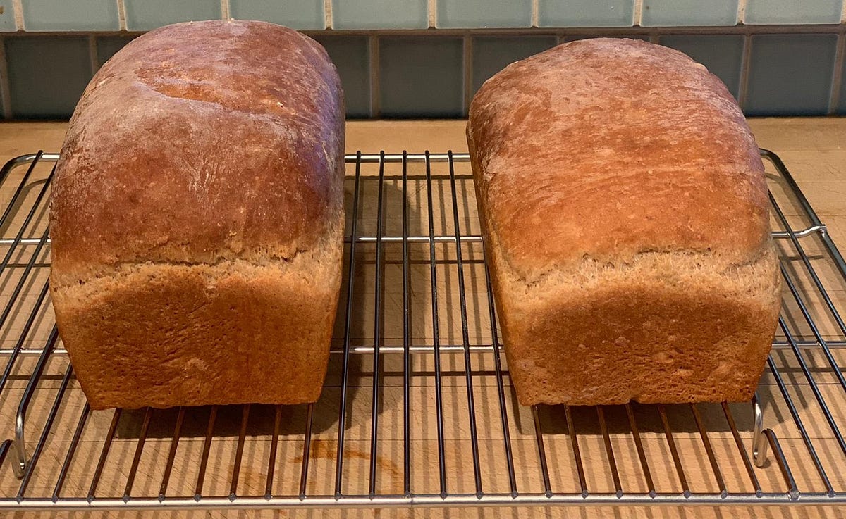 Glorious Bread!. A celebration for that which I cannot… | by Harry Hogg ...
