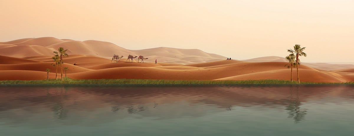 Should you purchase land in Sahara? | by Roman Andrei | Medium