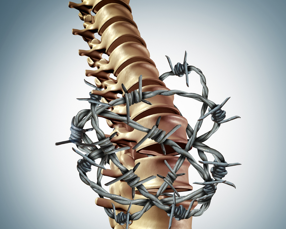 It’s Possible To Regrow Your Spinal Cartilage To Fix Lower Back Pain ...