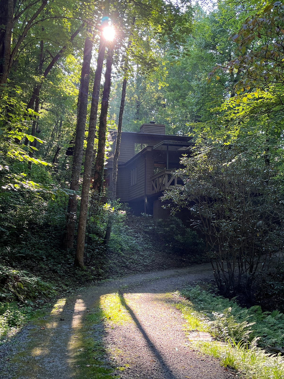 I Have Finally Come Home. This is where I was meant to be all… | by Beth Bruno | Middle-Pause ...