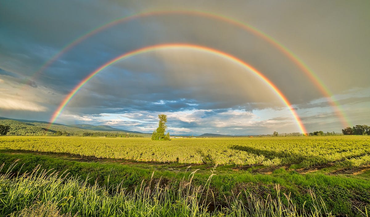 The three blessing ‘fields’. When we talk about changing one’s… | by ...
