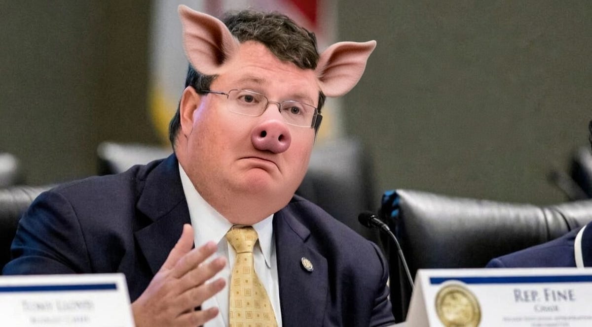 Top 10 Reasons To Suspect Congressman Randy Fine Is Actually a Pig in a ...