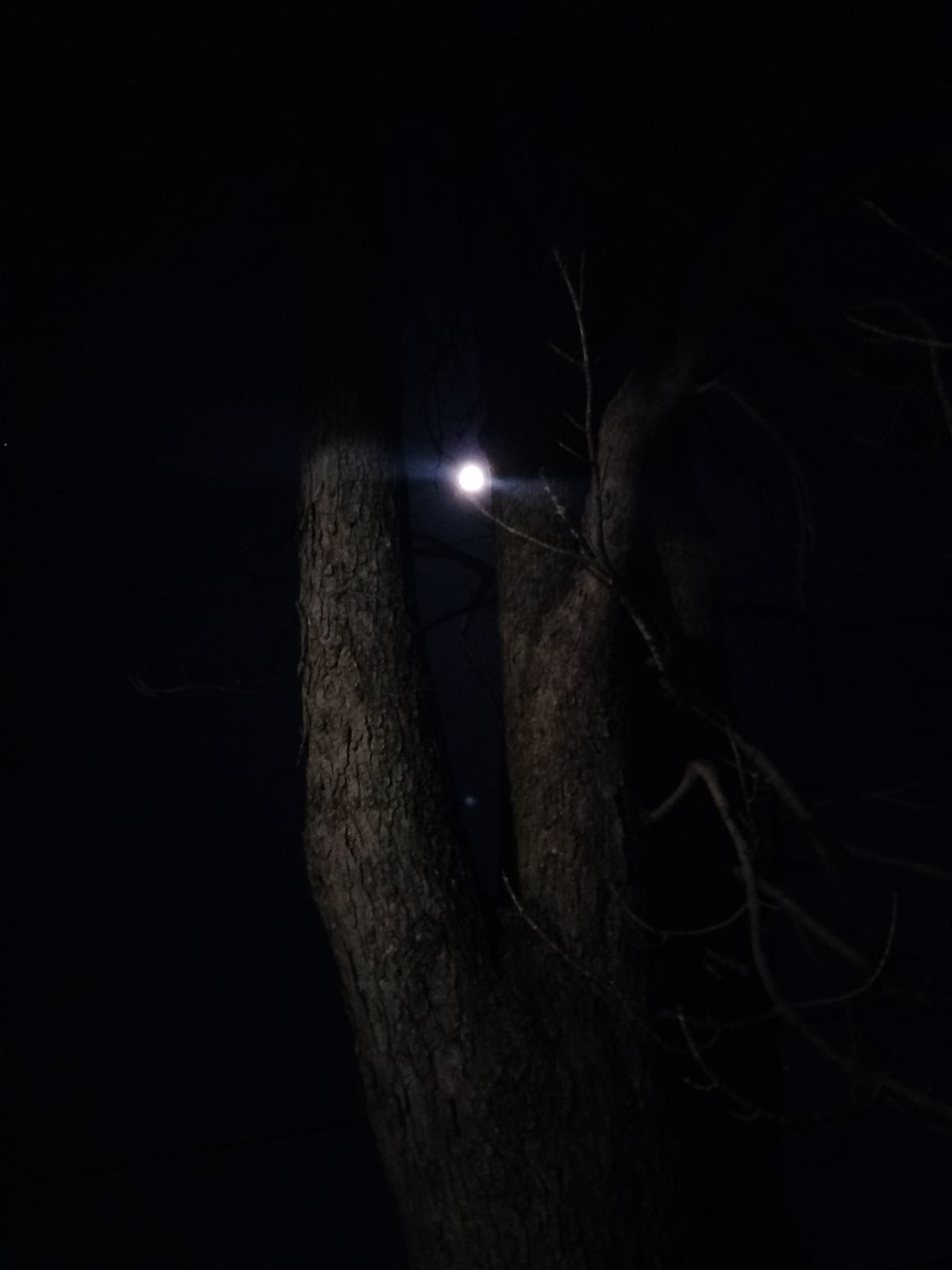 360 Degrees of Perception. Four short ekphrastic poems from… | by ...