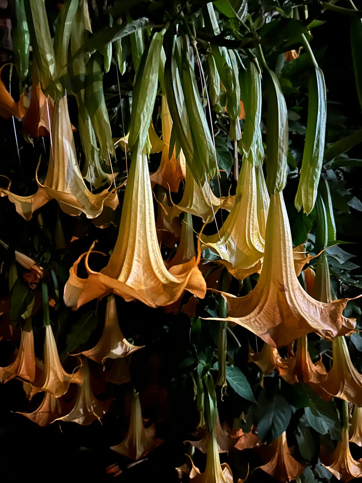 Understanding MLE & OLS: Beginner’s Concepts | by Vinit Vaibhav | Medium