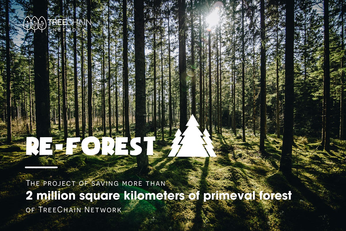 Re-Forest — The project of saving more than 2 million square km of ...