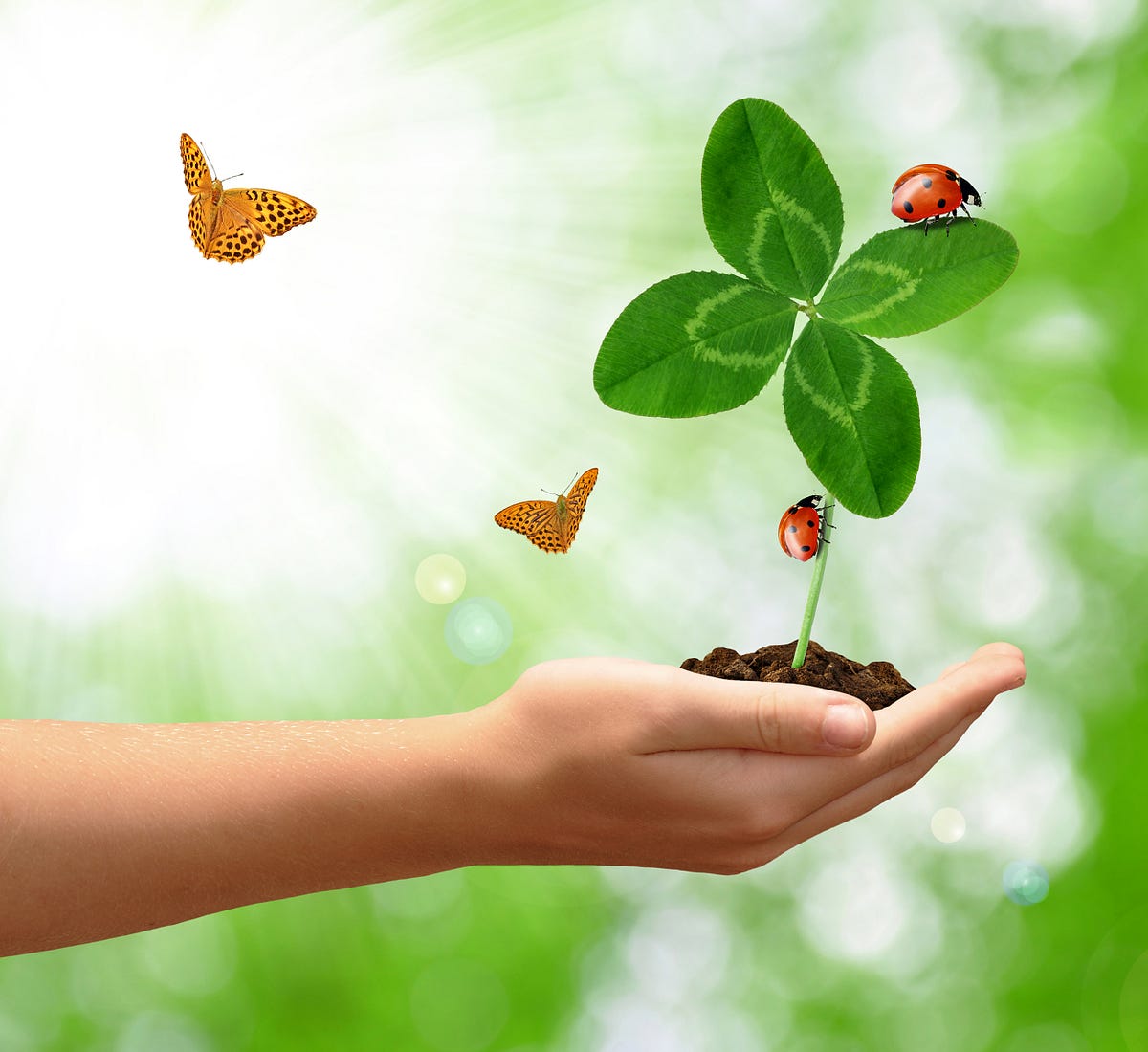 Four behaviours, which could increase your luck | by Vivian Hitchman ...
