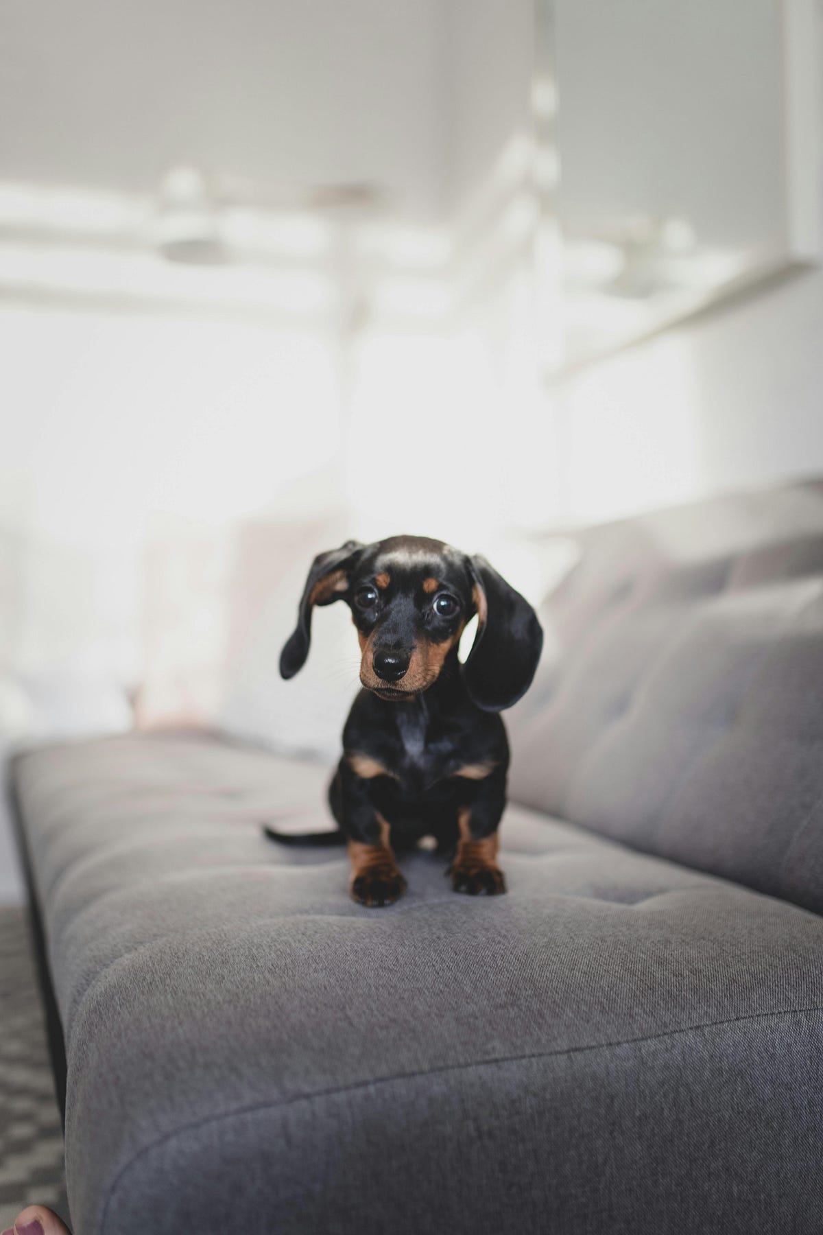 The “Right” Time. How to know if you’re ready for a new… | by Ruby Noir ...