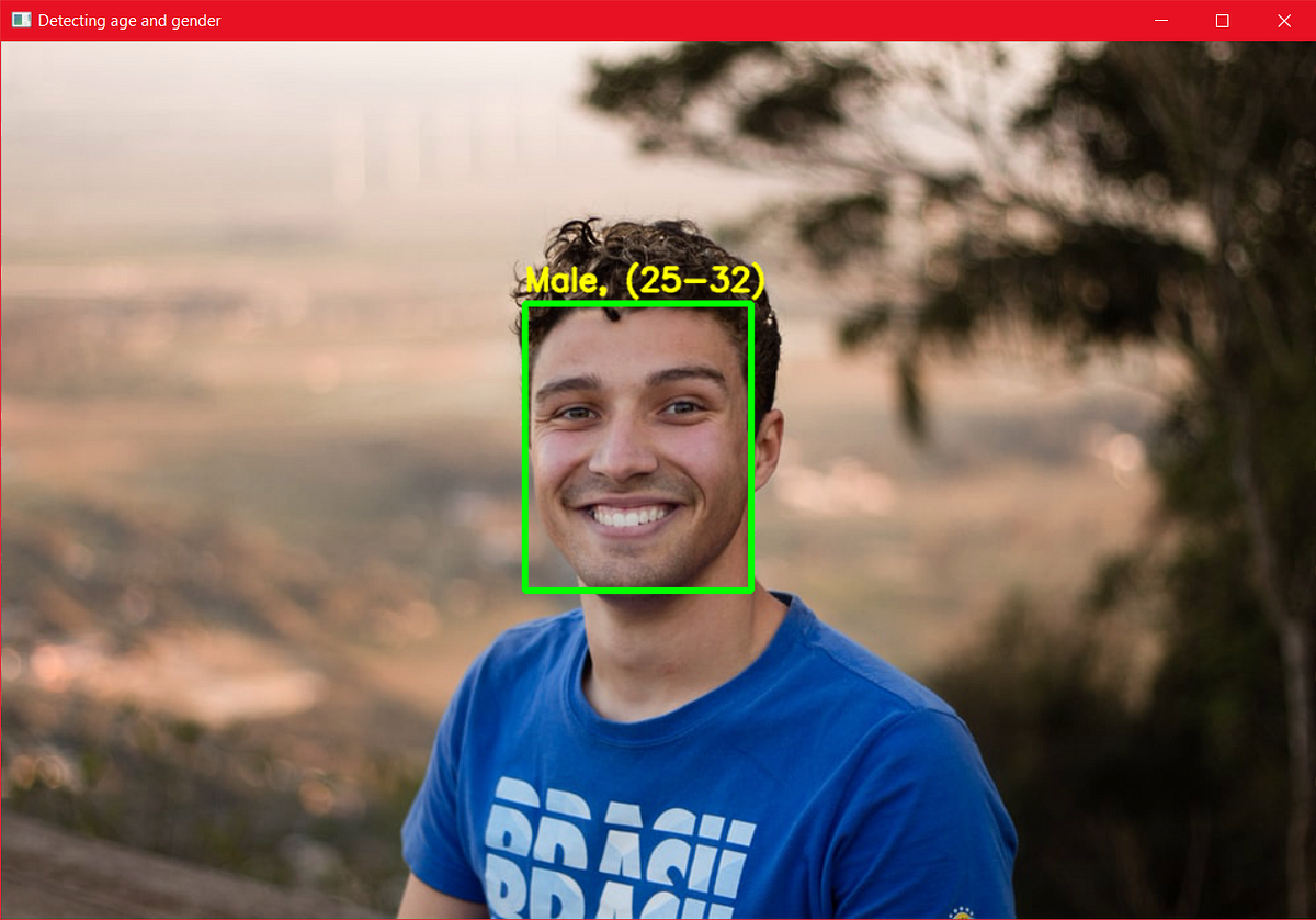 Predict the age and gender from the image using OpenCV and Deep ...