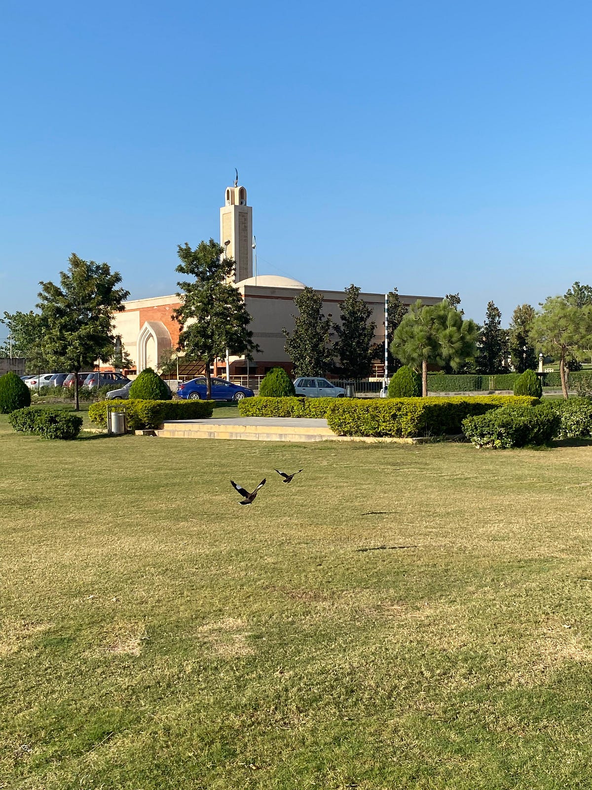 Visualising my Journey:The First Two Weeks at Amal Academy | by Mehwish Saeed | Oct, 2024 | Medium