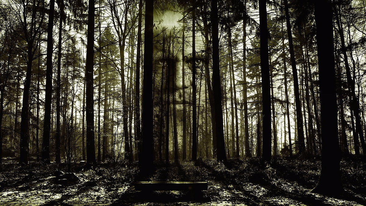 Cryptophobia, noun: An extreme or irrational fear of or aversion to ...