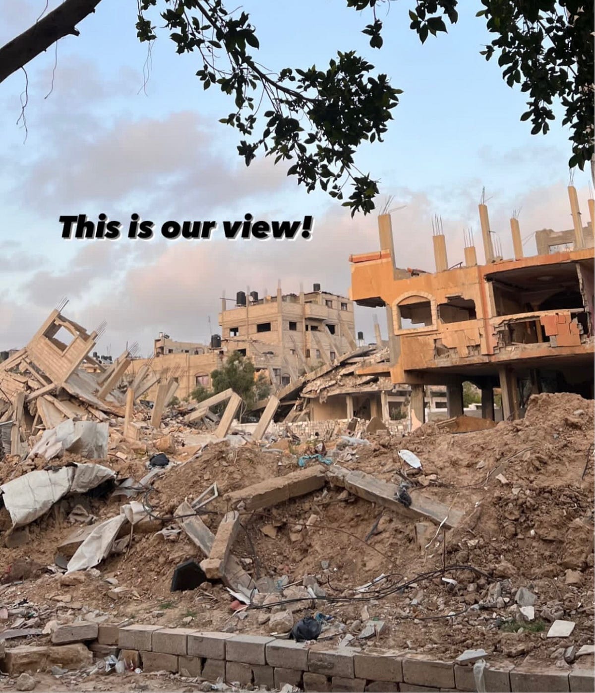 Is there an end?! 🍉🇵🇸 | by Dalia Mohisen | Aug, 2024 | Medium