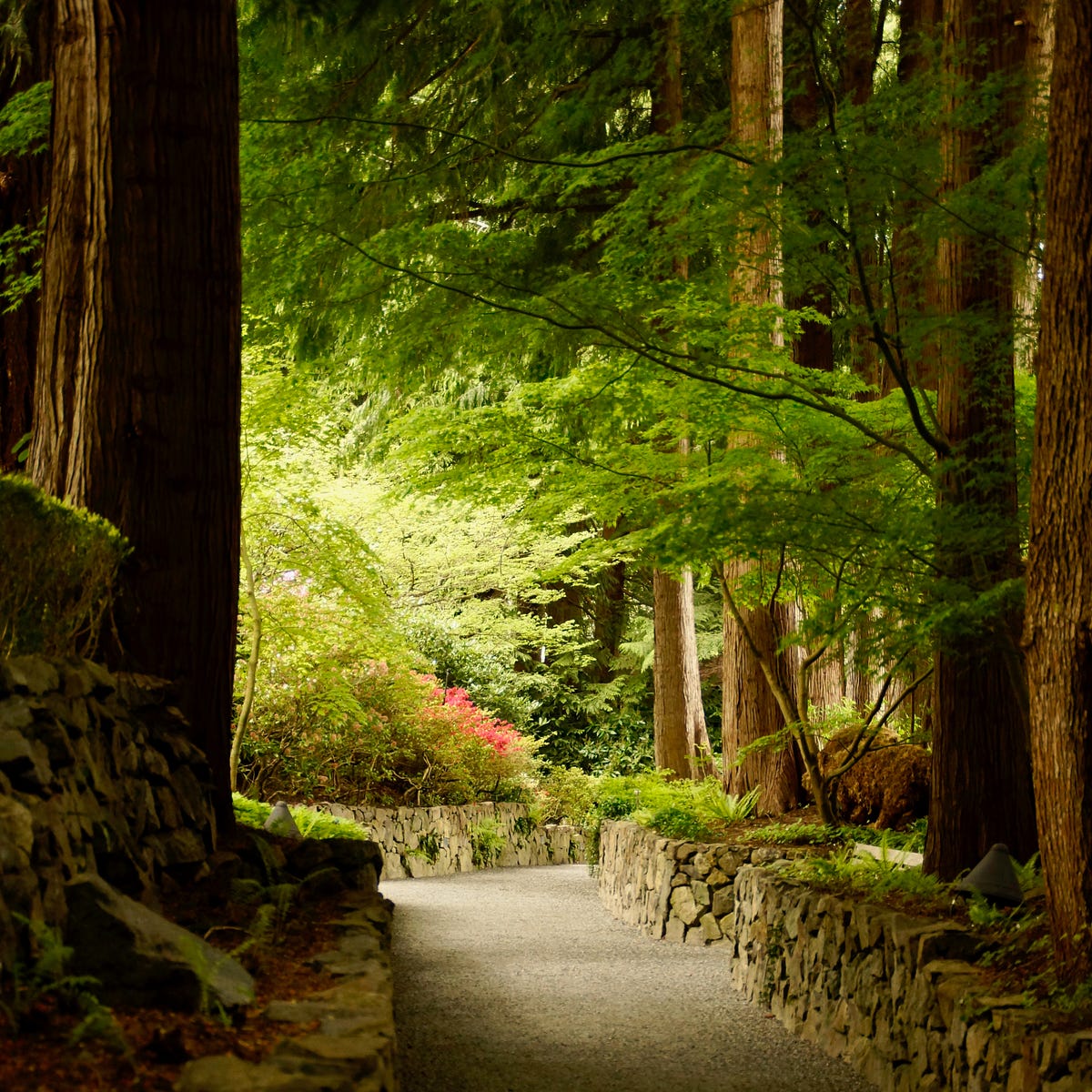 The Road Well Traveled Is Equal to the One Less Traveled | by George ...