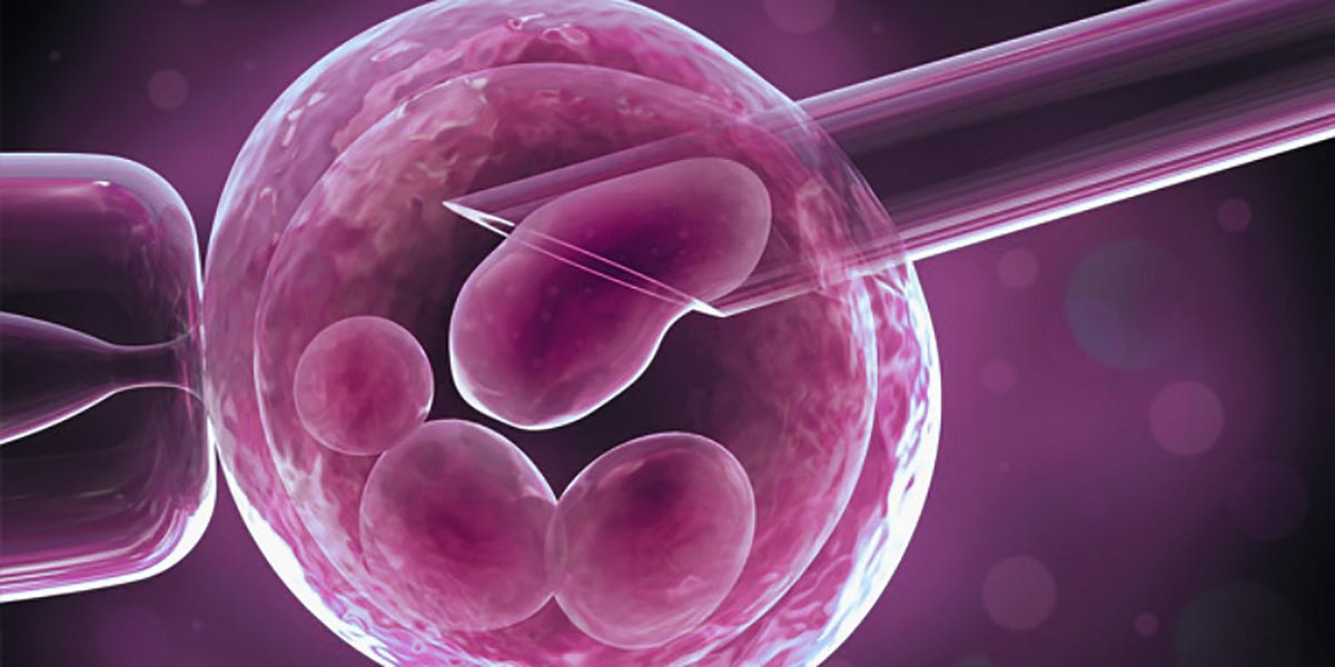 What is PGS? Exploring the Differences Between PGS and PGD | by ...