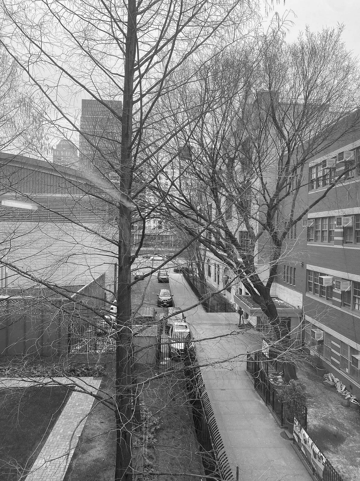 Still & Moving Images#3 - Nicholas - Medium