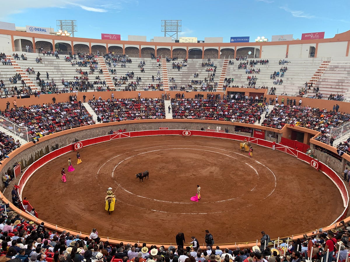 Bullfighting: When Unathletic Men Dress Up Like Princes & Torture ...