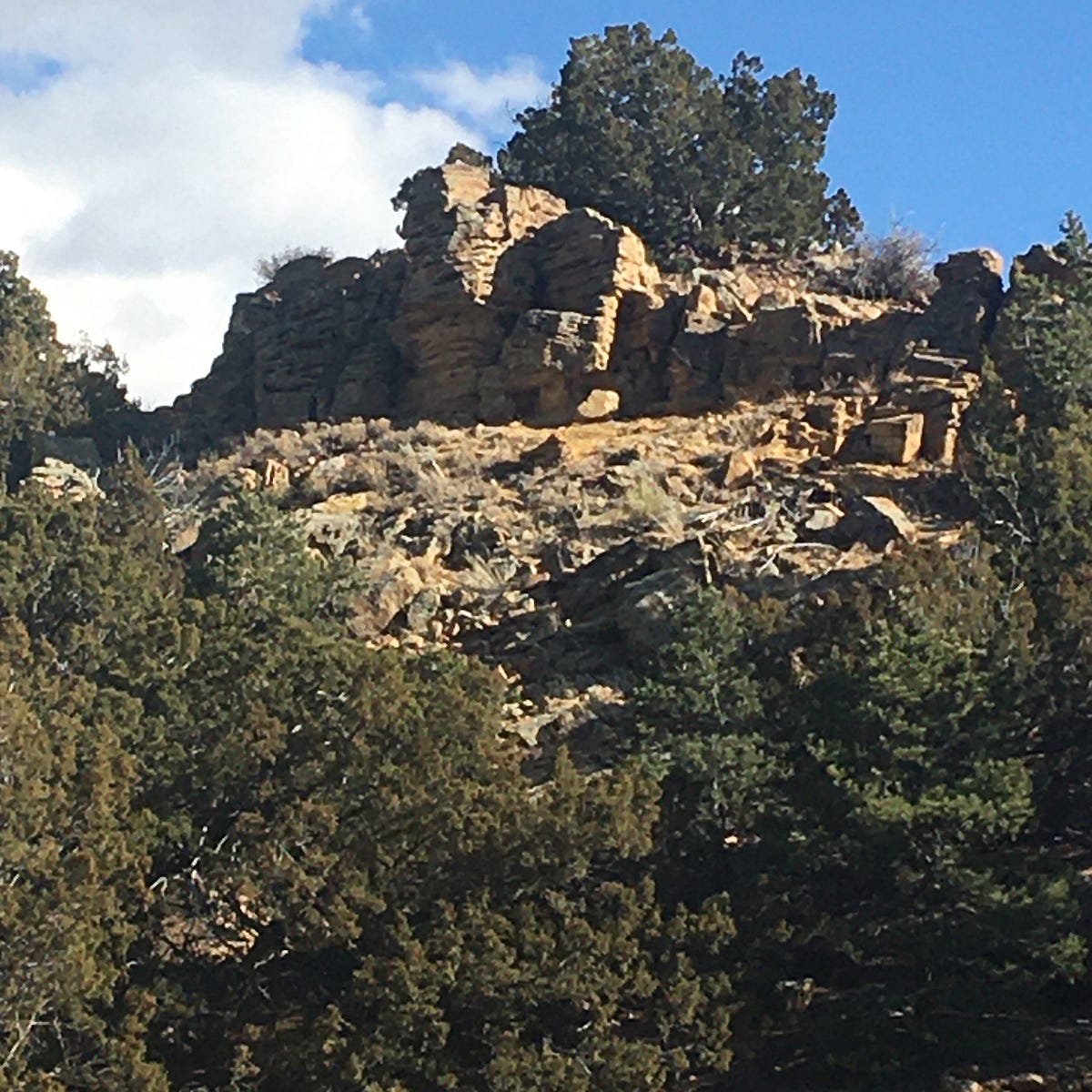 The Sphinx. a poem | by Lynne Nardizzi | Weeds & Wildflowers | Medium