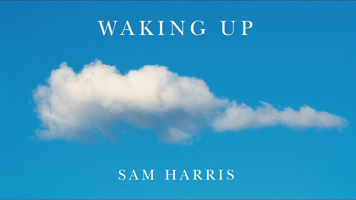 Waking Up Book Club — Sam Harris & Steven Pinker | by Dennis Wheeler ...
