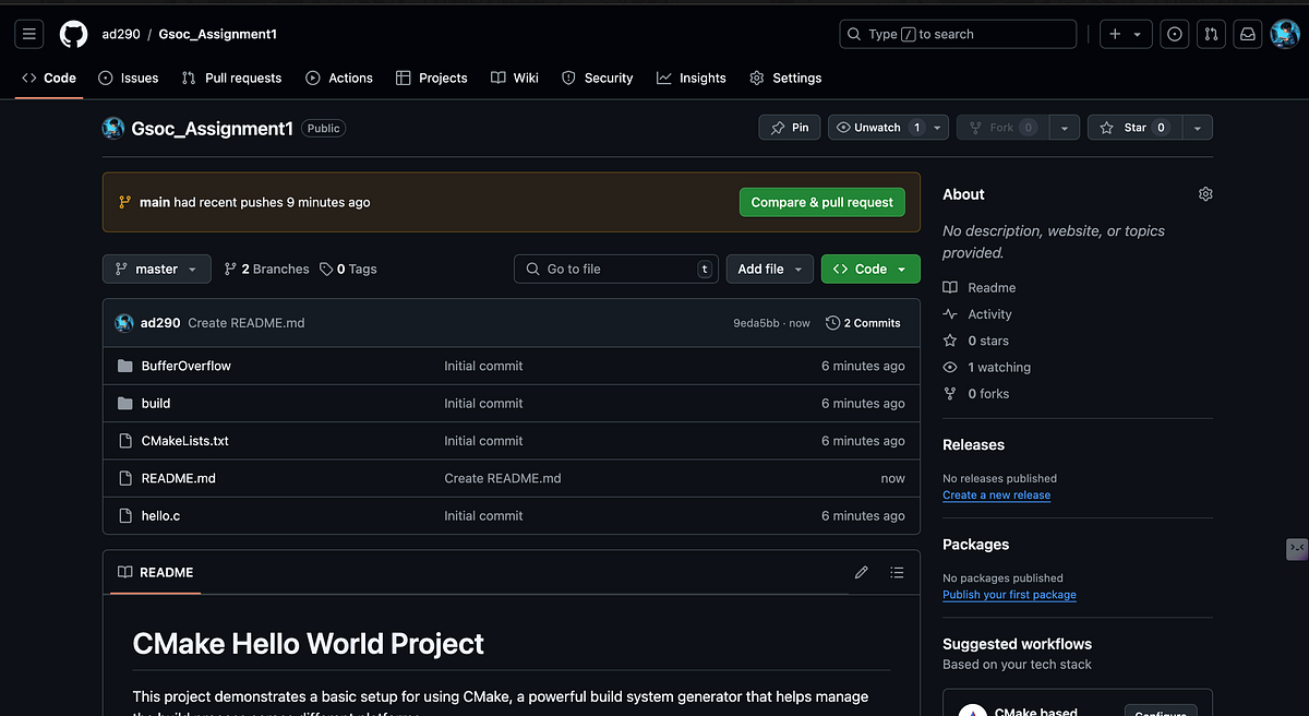 Exploring CMake, GitHub, and Buffer Overflow: A Practical Guide to My Learning Journey | by ...