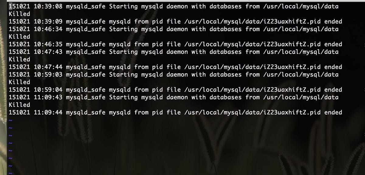 Mysql 8 Error The Server Quit Without Updating Pid File By Mario