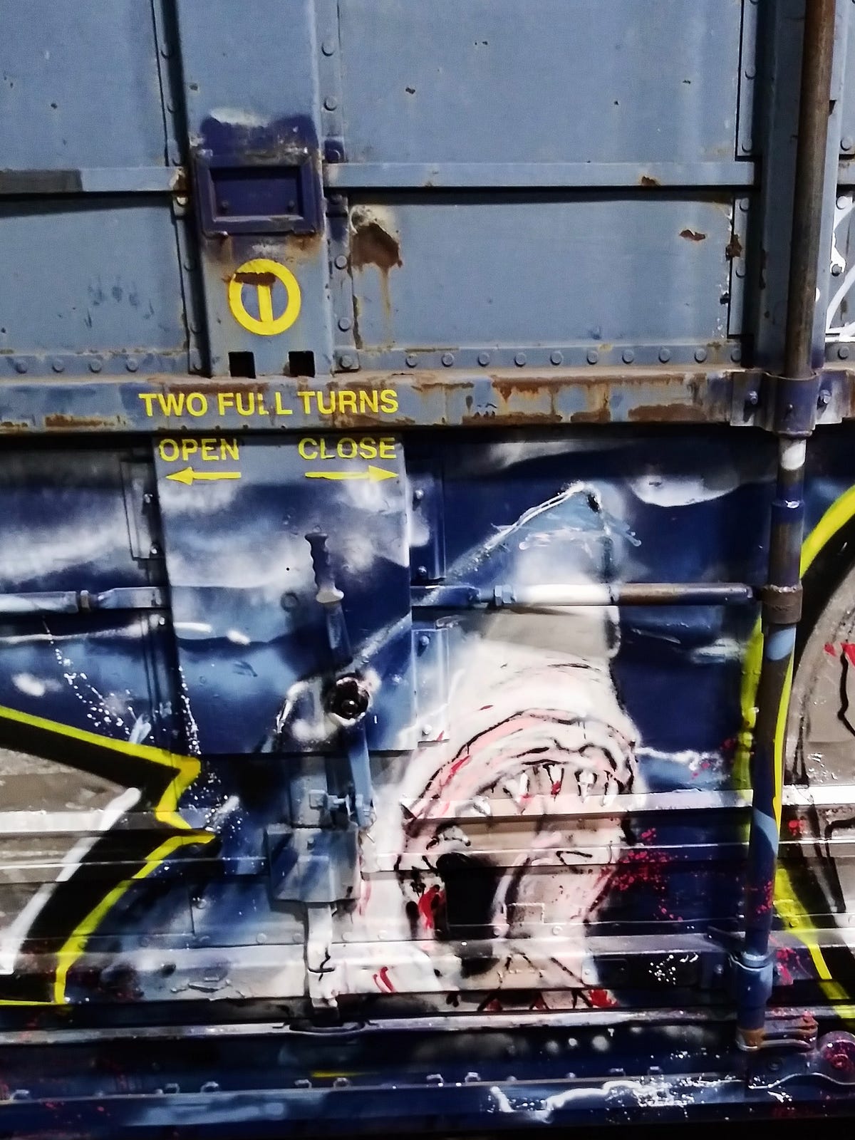 Sharks on a Train? - The Shortform - Medium